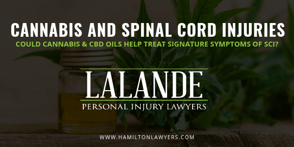 Can Cannabis & CBD Help Treat Spinal Cord Injury Symptoms?